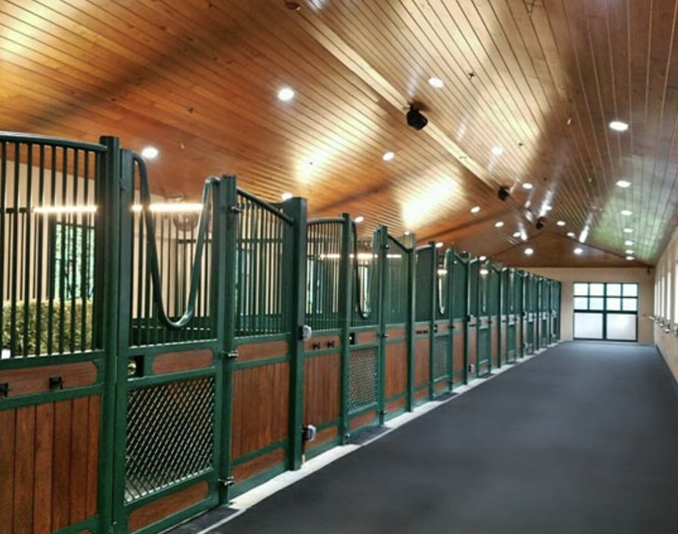 Eco-Grip Commercial Flooring | Architectural Directions