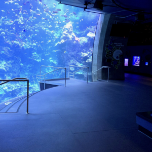 Eco-Grip Commercial Flooring | Architectural Directions